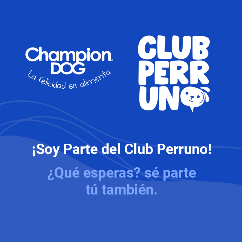 El mejor alimento Premium para perros | Champion Dog